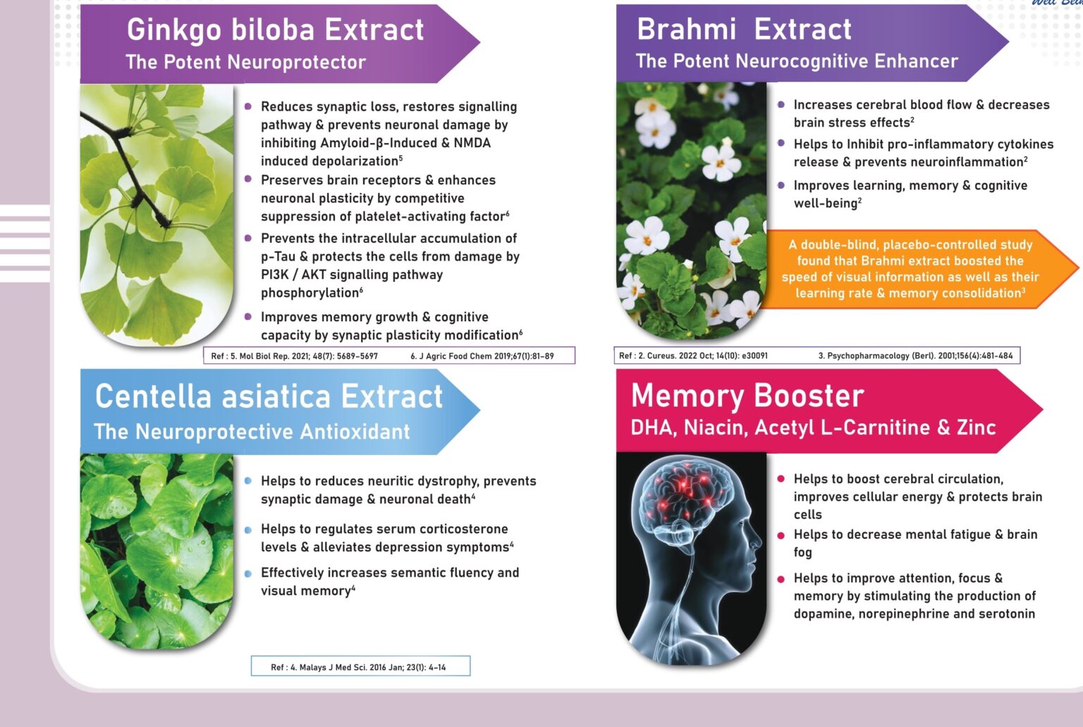 Dementia and Recall Supplement | Improve Memory and Cognitive Health